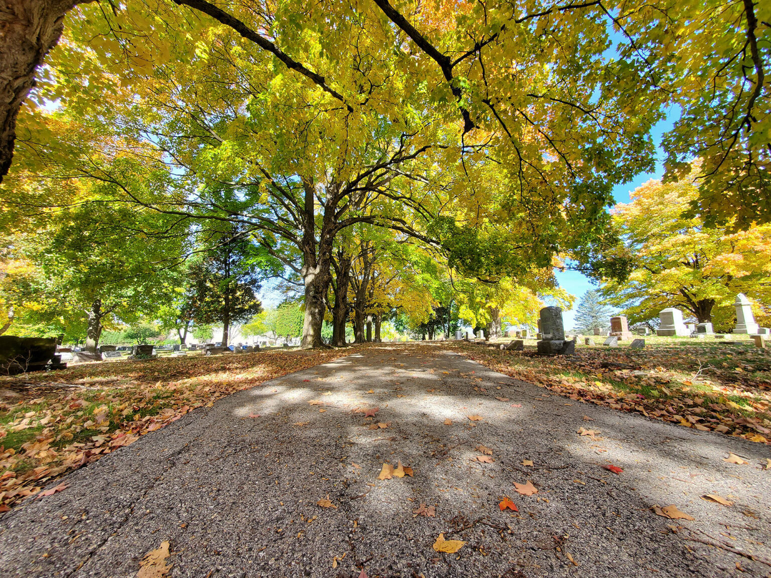 Home - Sunnyside Cemetery